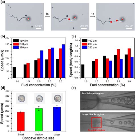 A A Series Of Optical Snapshots Of The Self Propelled Micromotor In