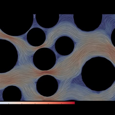 Left Snapshots Of U R Of The Fluid Particle Dynamics Model At Download Scientific Diagram