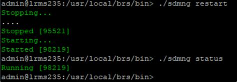 Creating The Powermax Backup Storage Group Dell Powerprotect Data Manager Protecting Data On