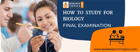Mediator Variables Conceptual Framework Examples And Writing Technique