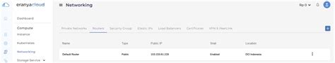 Creating A Router Interface Eranyacloud