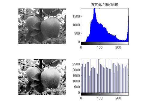 Matlab简单图像预处理matlab实现图像预处理的很多方法 Csdn博客