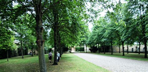 무료 이미지 통로 좁은 길 보도 대법원 나무 자연 녹색 공공 장소 잔디 우디 식물 작은 숲 도로 시티 휴양 경치 교정 삼림지 건물 주립