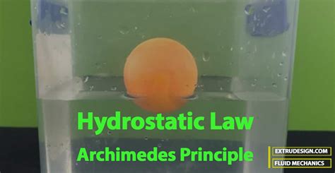 Hydrostatic Law And Archimedes Principle Extrudesign