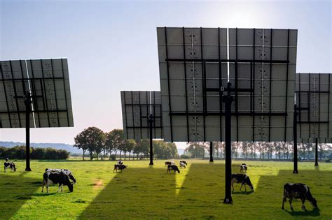 Elevated Solar Trackers Offer A Compatible And High Efficiency Agrisolar Solution For Farmers