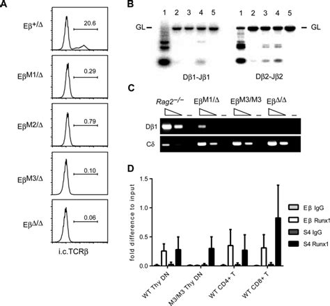 Distinct Requirement Of Runx Complexes For Tcrβ Enhancer Activation At