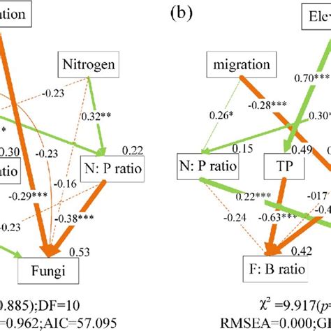 Structural Equation Models Sems Showing The Direct And Indirect Download Scientific Diagram