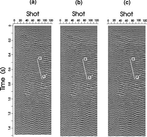 A Unfiltered Lithoprobe Seismic Reflection Section The White Line