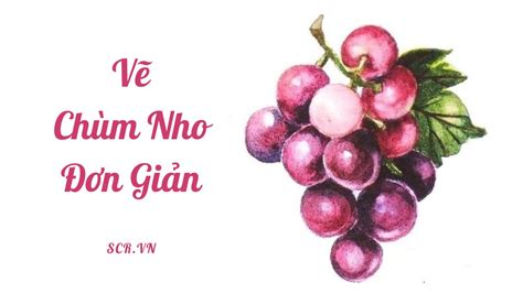 Vẽ Chùm Nho Đơn Giản Cách Vẽ [46 Hình Vẽ Quả Nho Cute]