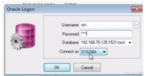 Oracle数据库的plsql免安装版安装 Csdn博客