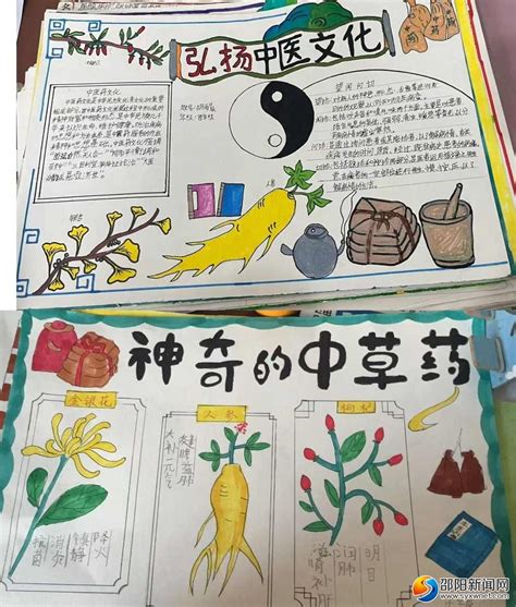 隆回县北山镇梅溪小学开展“中医药文化科普知识”手抄报比赛邵阳新闻网