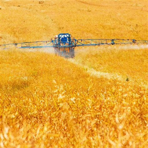 Detection Of Glyphosate And Other Pesticides In A Single Run