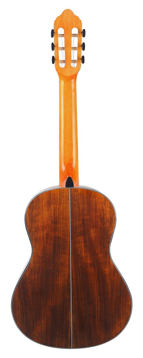560 Series Valencia Guitars