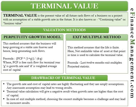 Terminal Value Cash Flow Statement Finance Lessons Accounting Basics