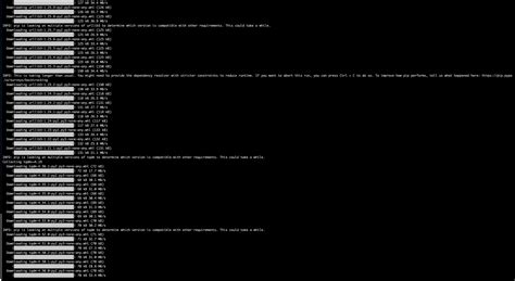 allennlp server pip is looking at multiple versions of each package