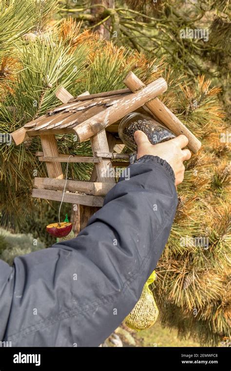 Garden Bird Feeder Protection Of Endangered Bird Species Stock Photo Alamy