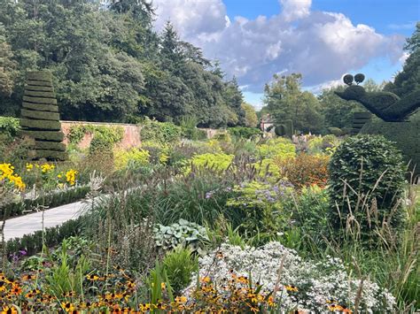 5 Planting Design Principles For Creating A Naturalistic Garden The