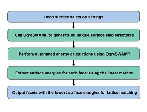The Workflow Of Surface Selection Module In Ogre The Blue Boxes