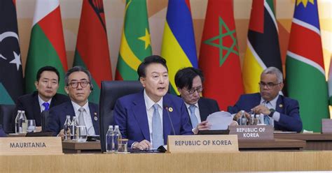 한 아프리카 정상회의 개회윤 대통령 동반성장·연대