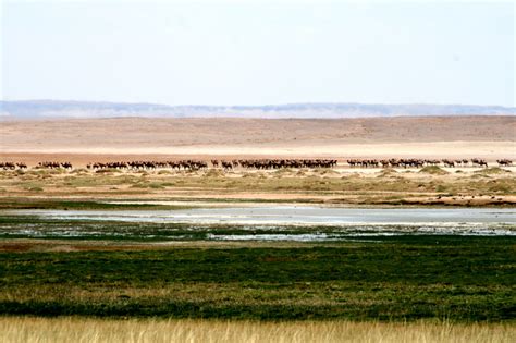 Мандал Овоо сум