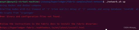 学习fabric 一 ：fabric2 2环境搭建和测试网络 fabric path csdn博客