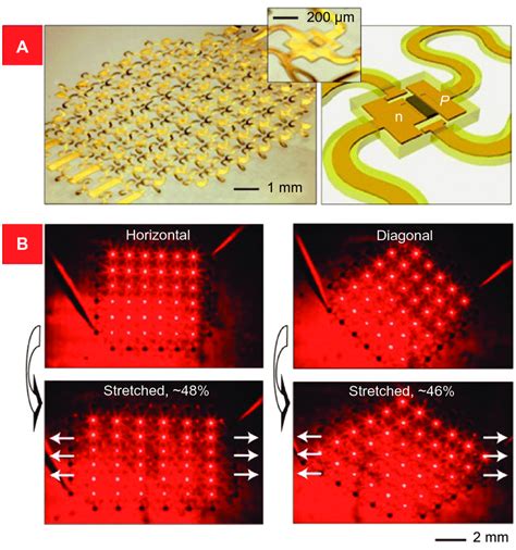 A Optical Image Of A Flexible GaAs Based Light Emitting Diode Array Download Scientific