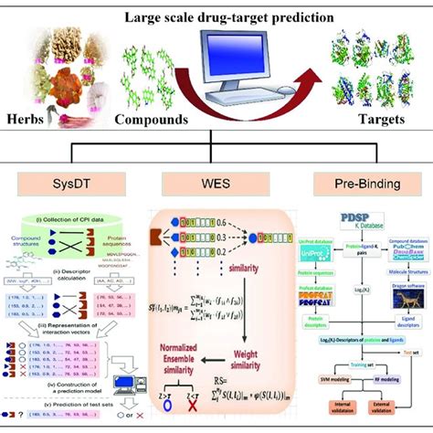 Design Processes Of The Drug Combination Prediction Approach