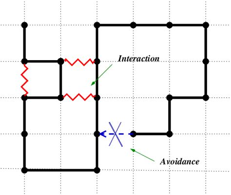 Interaction Self Avoiding Walk Download Scientific Diagram