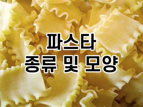 파스타 면 종류 및 모양 Pasta