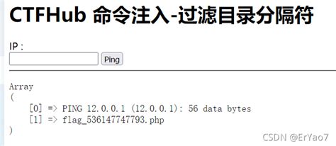 Ctfhub技能树 Web Rce 详解 Csdn博客