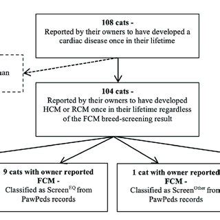 Flow Chart Describing Development Of Cardiac Disease At Any Time Point Download Scientific