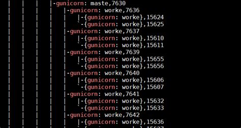 Uvicorn Gunicorn Salmon