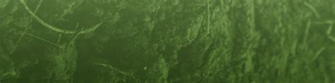 agronomy mdpi on linkedin biomass mdpiagronomy