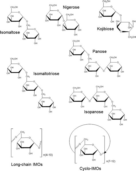 Oligosaccharide Structure Structures And Nomenclatures Of The