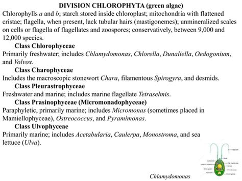 Algae Classificationpptx