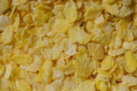 Dry Cornflakes Stock Image Image Of Texture Meal Healthy 352695293