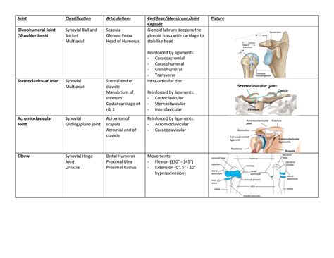 Joint Table Joint Classification Articulations Glenohumeral Joint