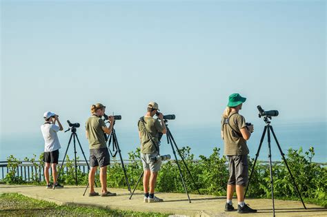 აჭარაში ფრინველებზე დაკვირვების საერთაშორისო ფესტივალი ჩატარდება