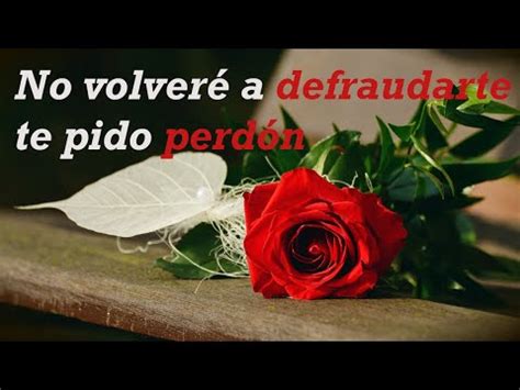 Gu A Completa Para Escribir La Carta Perfecta Para Pedir Perd N A Una Amiga