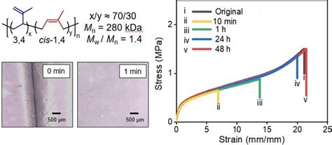 Making Polyisoprene Self‐healable Through Microstructure Regulation By