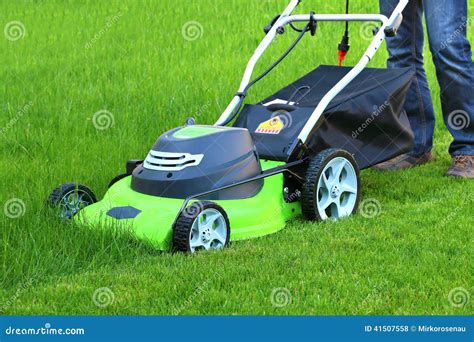 Cutting Grass Stock Image 33407785