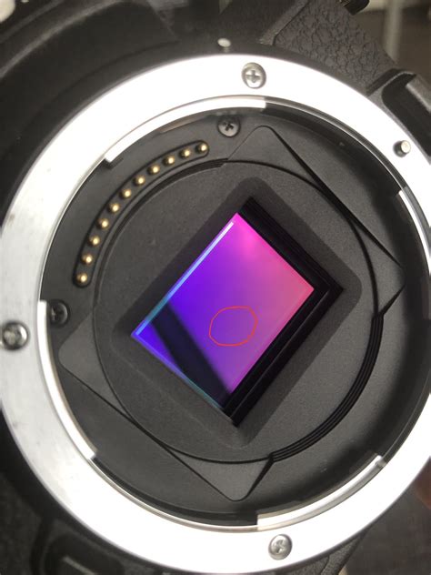 Is My Camera Sensor Scratched R Askphotography