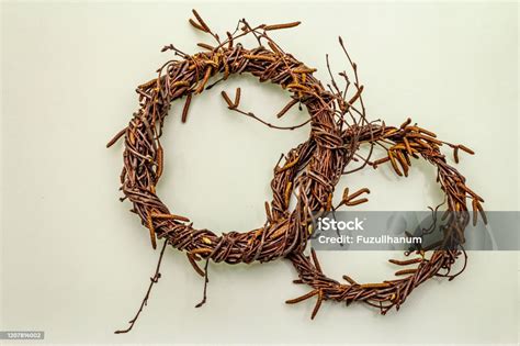 자작 나무 가지의 고리 버들 화환 부활절 제로 폐기물 Diy 개념 디자인 요소 및 장식 0명에 대한 스톡 사진 및 기타 이미지 Istock