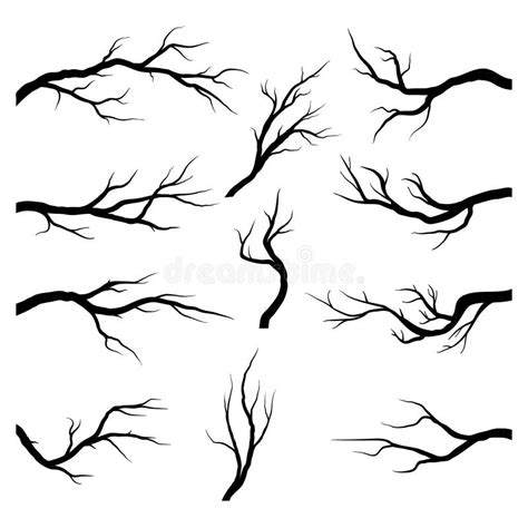 Collection Bare Tree Branches Naked Branche Silhouette Set Stock Illustration Illustration