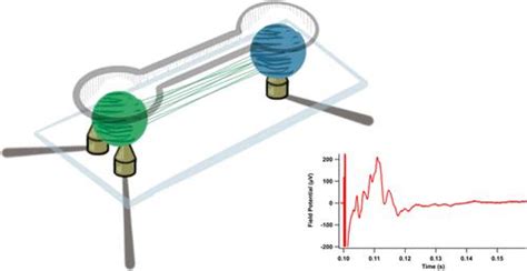 具有聚多巴胺介导的二氧化硅绝缘的完全集成 3d 微电极阵列，用于新型 3d 人体神经微生理结构的电生理学询问 Acs Applied Materials And Interfaces X Mol
