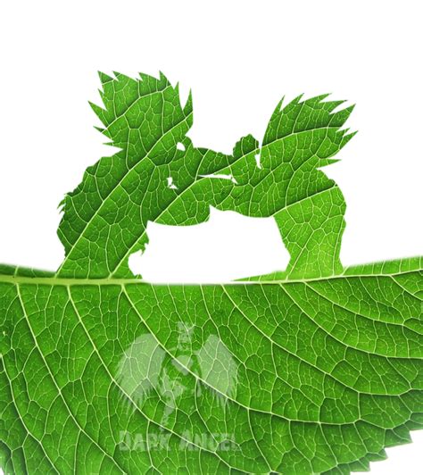 Goku Vs Vegeta Leaf Art By Arjundarkangel On Deviantart