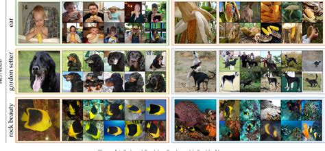 figure 24 from understanding distributed representations of concepts in