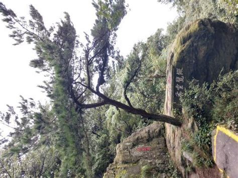 2023 庐山风景名胜区 评论 去哪儿攻略