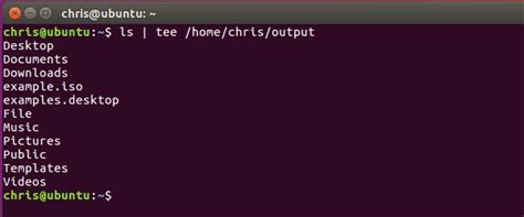 Como Salvar A Saída De Um Comando Em Um Arquivo No Bash Também