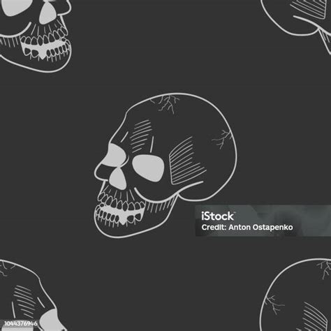 어두운 배경에 원활한 해골 패턴입니다 할로윈 테마에 벡터 만화 이미지입니다 10월에 대한 스톡 벡터 아트 및 기타 이미지 10월 가을 거미 Istock
